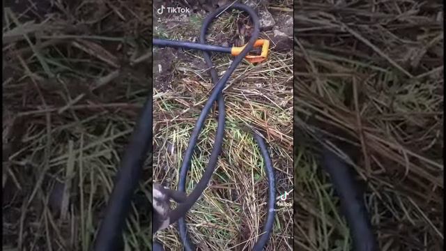 Огромное количество меди и железа