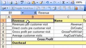 Microsoft Office Excel 2003 Insert a single column