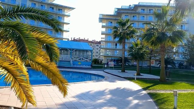 Сочи Парк Отель зимой декабрь