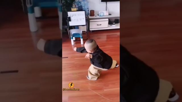 Маленький мастер кунг фу! :)
Очень хорошо демонстрирует стиль богомола.