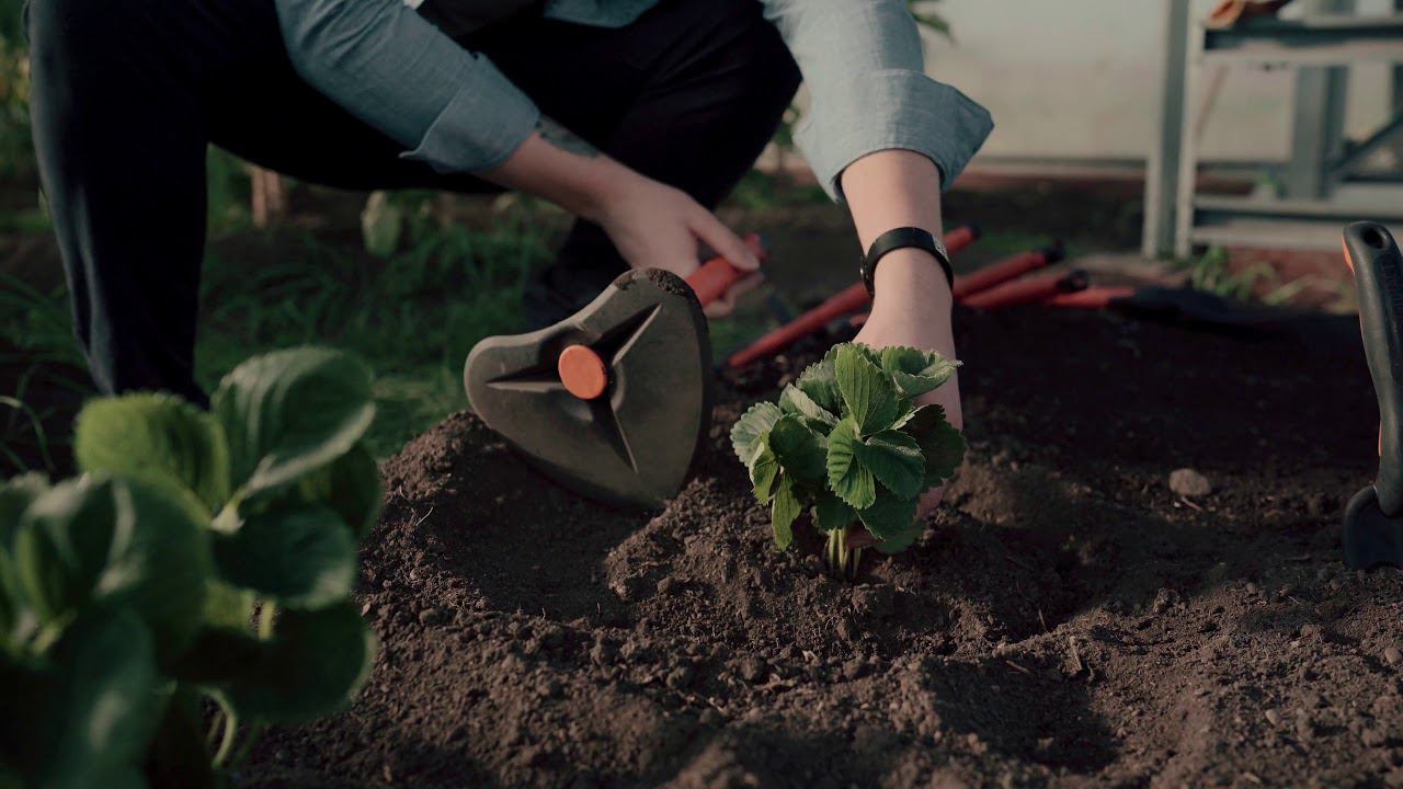 Садовый инструмент Альт-Пласт 2020