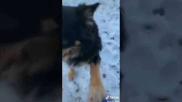 Постарайся не засмеяться #27