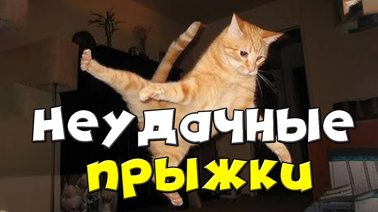 Подборка неудачных прыжков забавных кошек