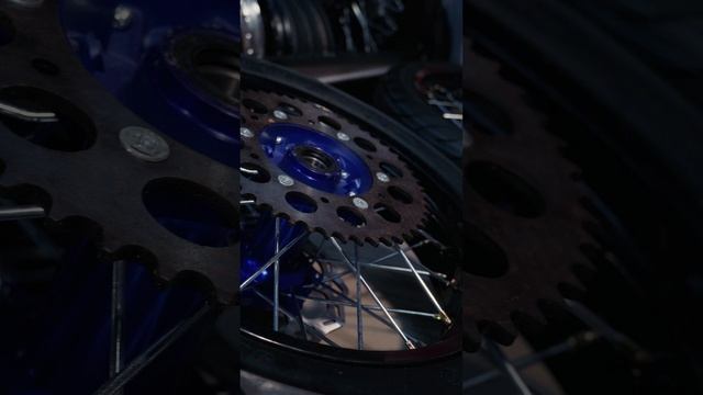 ДаняМотарды