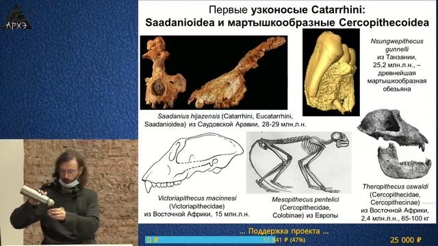 Лекция С.В. Дробышевского Приматы в прошлом и настоящем курса Антропология.mp4