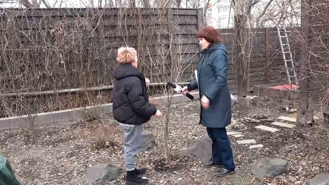 Ландшафтный дизайн. Весенний сад Елены Королёвой.