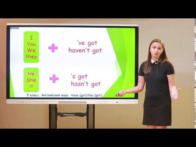 5 класс. Английский язык. Конструкции "have - has"