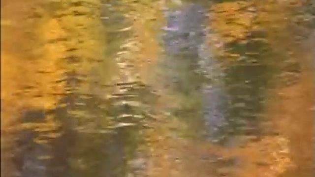 СТИХИ. ПОЭЗИЯ. ПОЭТ ЖАННА АСТЕР - ЧИТАЕТ АВТОР. ВИДЕО