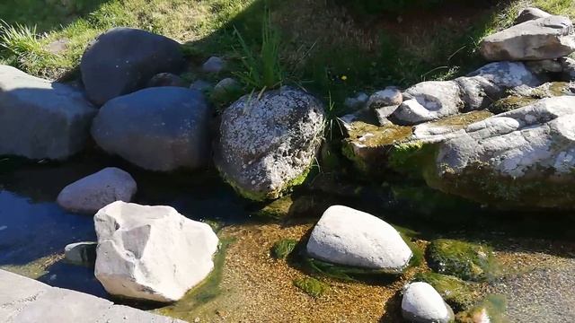 МЖК Зеленоград