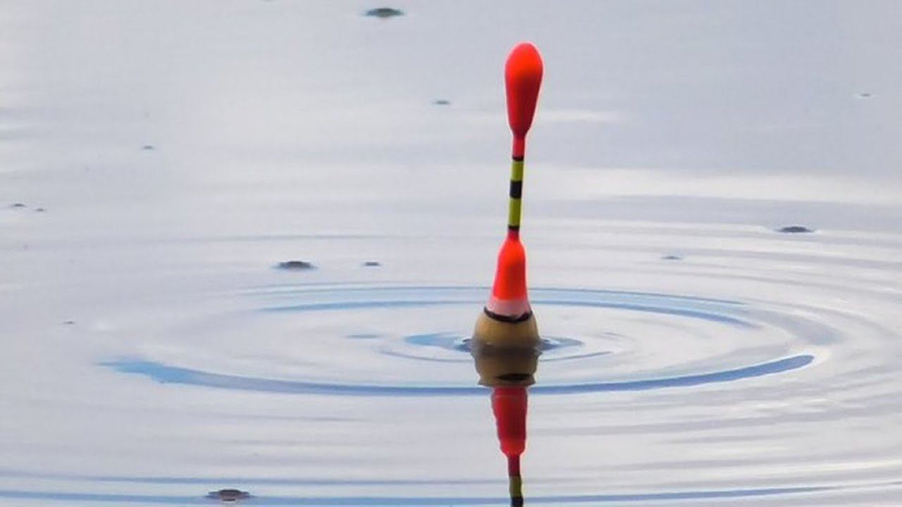 АКТИВНЫЙ КЛЕВ КАРАСЯ на УТРЕНЕЙ ЗОРЬКЕ ! #Рыбалка на маховую удочку ! #Карась на #поплавок.