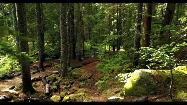 Музыка для расслабления и сна