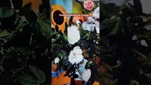 Карточка видео