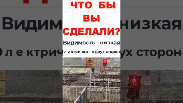 🤬Красный свет, школьник и две электрички: какие ваши действия в такой ситуации?