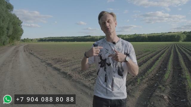 Телесный психолог онлайн Владимир Потапенко - ответы на вопросы подписчиков