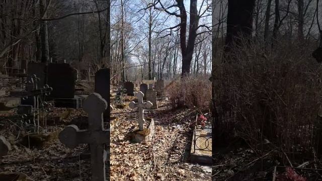 Могила ДЮШИ  Романова участника группы Аквариум на Волковском кладбище .Санкт-Петербург.