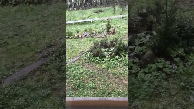 Майская погода .