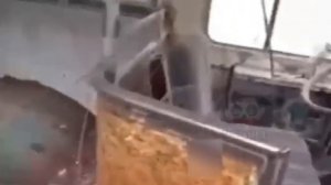 В Японии, у заброшенного автобуса