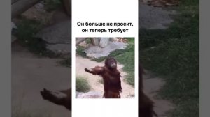 Дала быстро эу