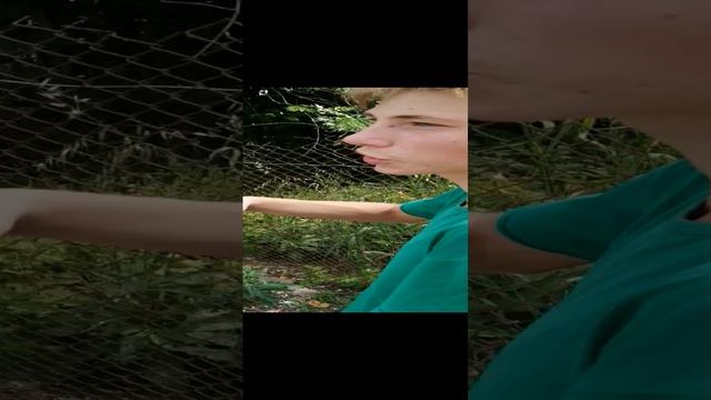 13 летний бизнесмен #6. Мерседес говно, приора топ.mp4