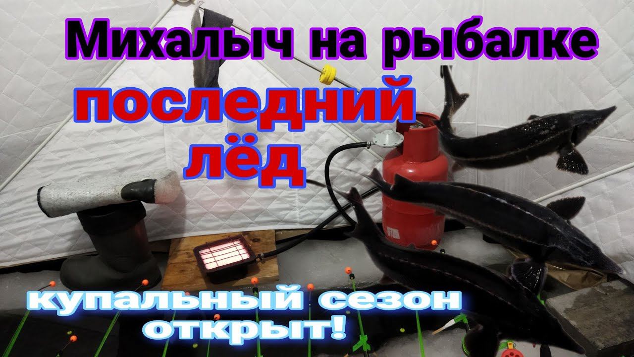 Ловля осетра рыбалка зимой  крх тихая заводь безлимит.