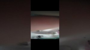 гриб нападает 2 (экстренный конец) голосование за 3 часть.  100 лайков и третья часть тут