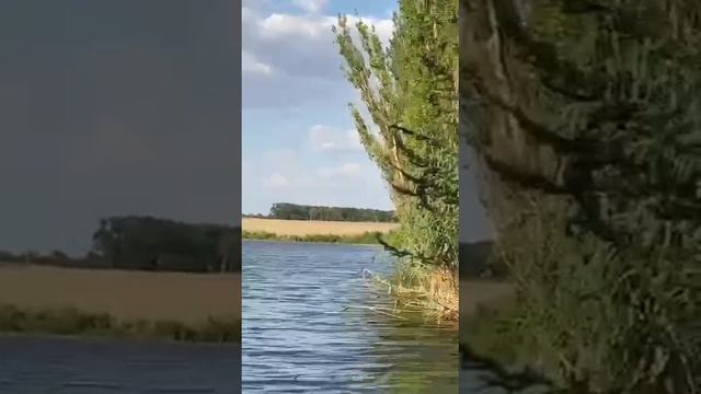 Кайфовая погодка