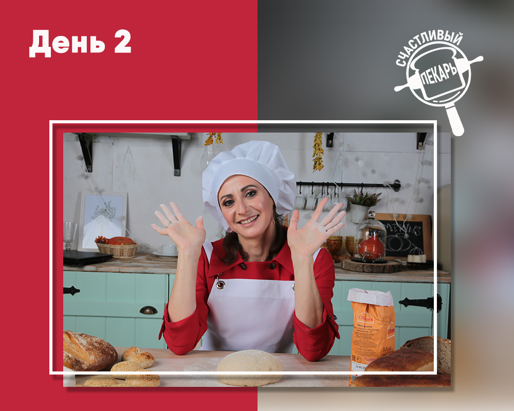 День 2. Кто живёт в закваске?