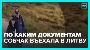 В Литве рассказали, по каким документам Собчак могла въехать в страну - Москва 24