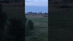 1000561557.mp4