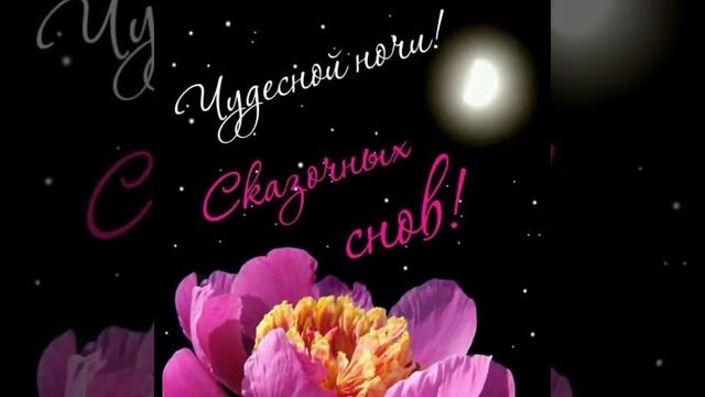 Спокойной ночи