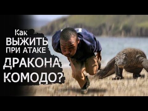 КАК ВЫЖИТЬ При Нападении КОМОДСКОГО ВАРАНА | RISEME