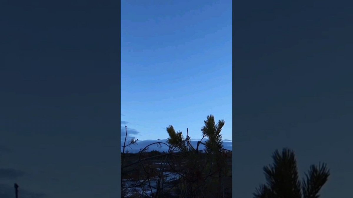 С Охоты На рыбалку на RUTUBE: 157 видео – смотреть онлайн и бесплатно ...