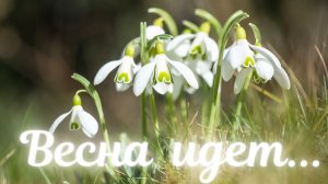 ВЕСНА ИДЕТ!? Теплые весенние пожелания