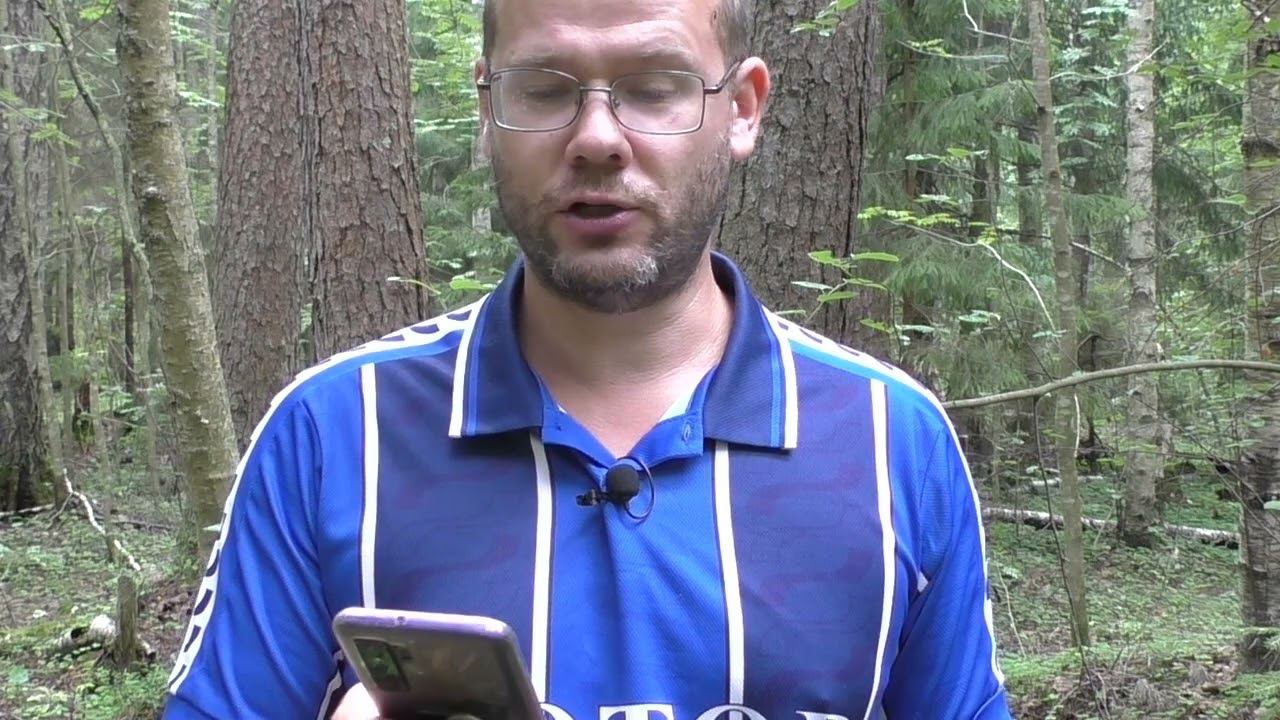 Времена года. Август