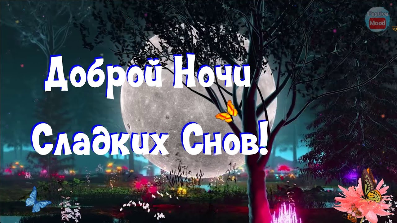 ??Доброй Ночи Сладких Снов!? ?Тихо тихо кот крадется, чтоб заснуть у твоих ног✨.mp4