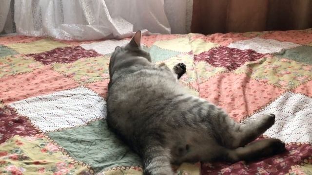 Mouse games