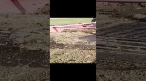 1000008263.mp4