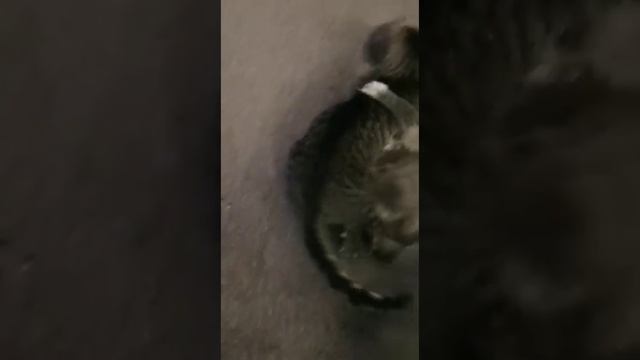 Отработка запрещённых приёмов.