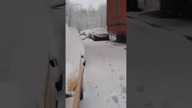 ГДЕ ТЫ ВЕСНА САНКТ-ПЕТЕРБУРГ 01.04.2023