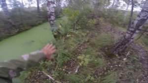 Как поймать щуку осенью в сентябре, видео rybachil.ru
