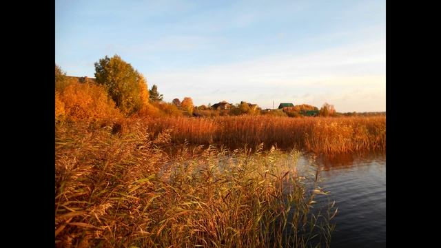Осень - 22 в деревне Свапуще