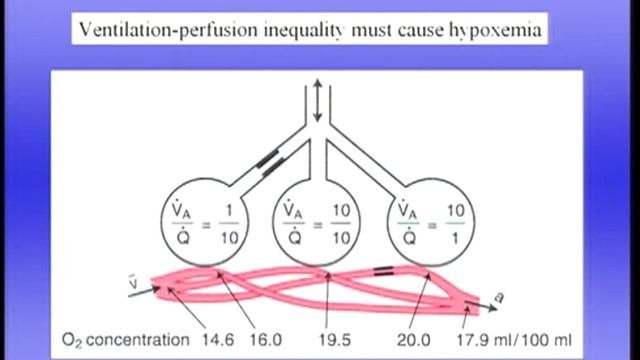 8_Pulmonary Gas Exchange-Part II