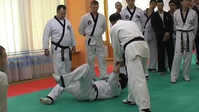 14.    1 семинар по хапкидо в России ГМ Ким Нам Джи - Москва 2008 г