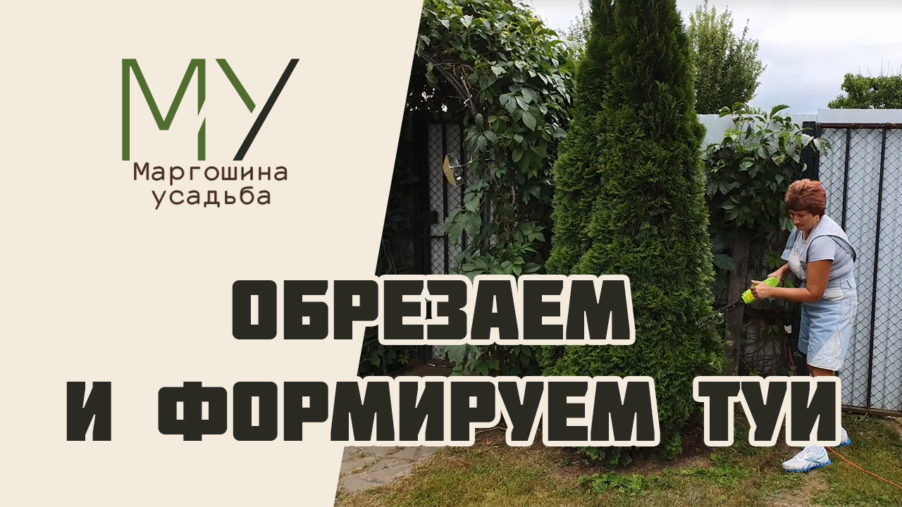Обрезаем и формируем туи