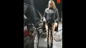 Девушка на заправке