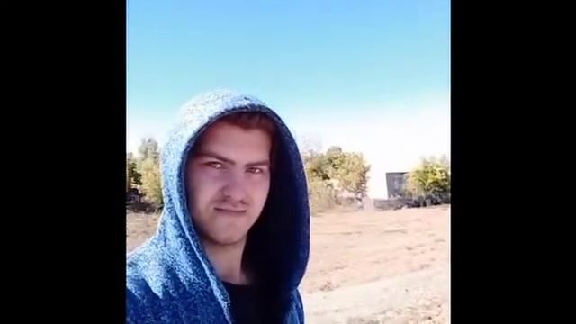 Мы гуляем, а пёсики отдыхают)