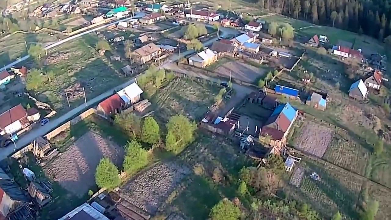 Кормовище в лучах вечернего солнца