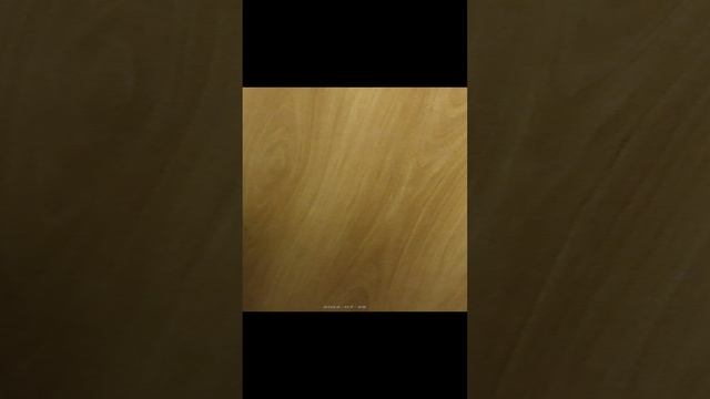 Оборотни пока на свободе VID20220728152121.mp4