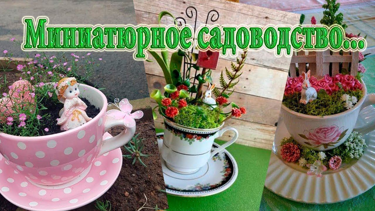 Миниатюрное садоводство*