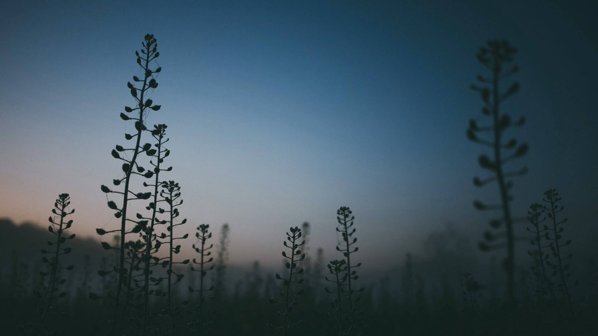 Carbon Based Lifeforms - Abiogenesis (Remix)